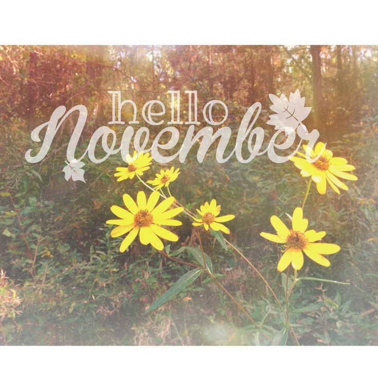 Hello November Pictures, Photos, and Images for Facebook, Tumblr ...
