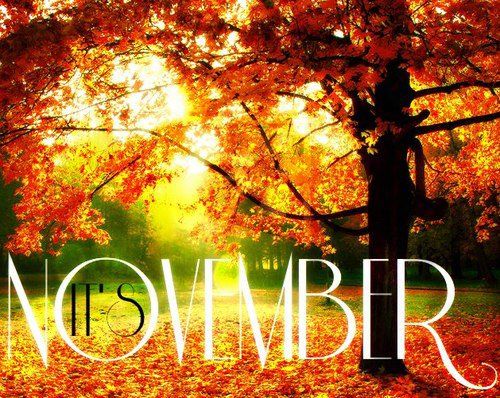 It's November Pictures, Photos, and Images for Facebook, Tumblr ...