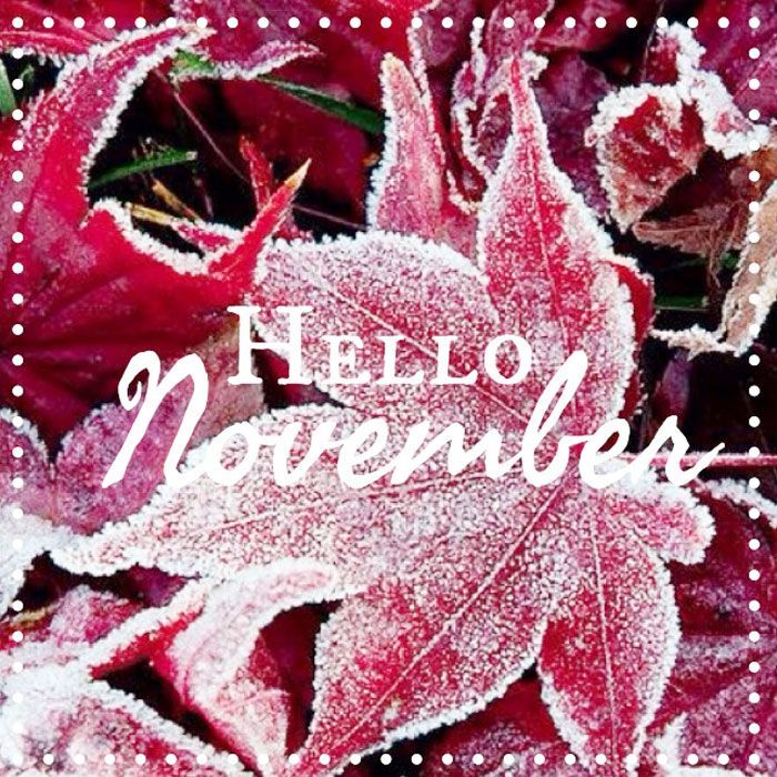Frosty Hello November Leaves Pictures, Photos, and Images for Facebook ...