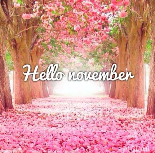 Hello November Pictures, Photos, and Images for Facebook, Tumblr ...