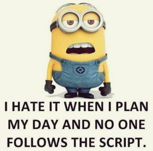 I Hate It When I Plan My Day And No One Follows The Script. Pictures ...