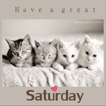 Have A Great Saturday Pictures, Photos, and Images for Facebook, Tumblr ...