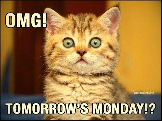OMG Tomorrows Monday Pictures, Photos, and Images for Facebook, Tumblr ...