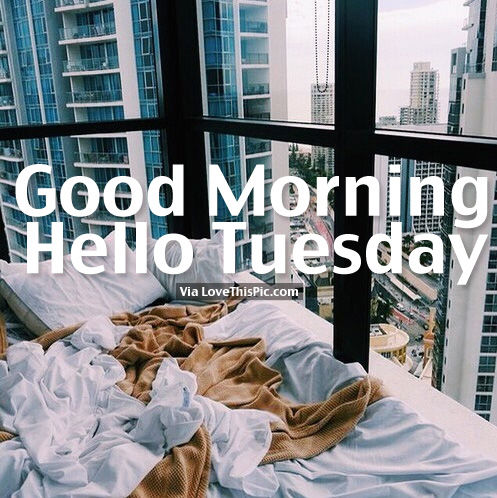 Good Morning, Hello Tuesday Pictures, Photos, and Images for Facebook ...