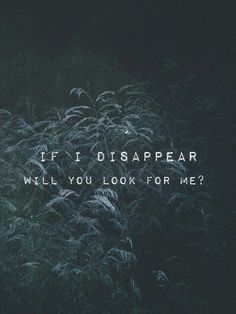 If I Disappear Will You Look For Me? Pictures, Photos, and Images for ...