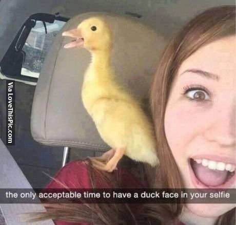 The Only Kind Of Duck Face I'd Approve Pictures, Photos, and Images for ...
