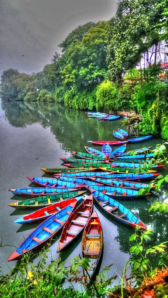 Colorful Canoes Near The Shore Pictures, Photos, and Images for Facebook, Tumblr, Pinterest, and ...