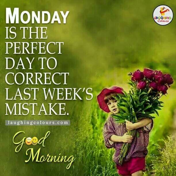 Monday Is Perfect To Correct Last Weeks Mistakes Pictures, Photos, and ...