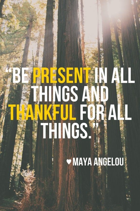 Be Present In All Things And Thankful For All Things Pictures, Photos ...