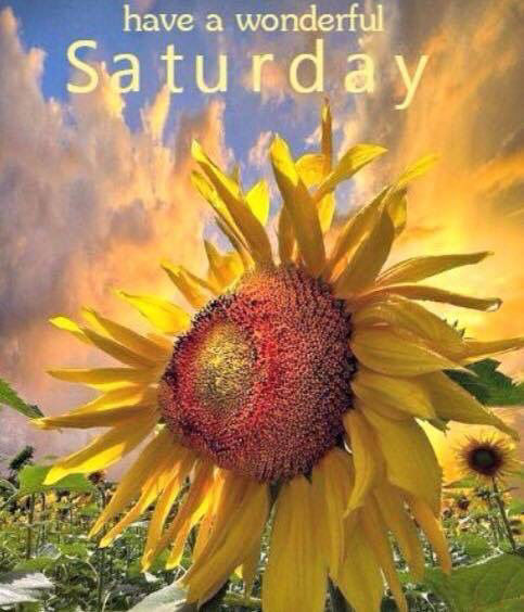 Have A Wonderful Saturday Pictures, Photos, and Images for Facebook ...