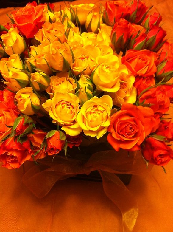 Thanksgiving Roses Pictures, Photos, and Images for Facebook, Tumblr ...