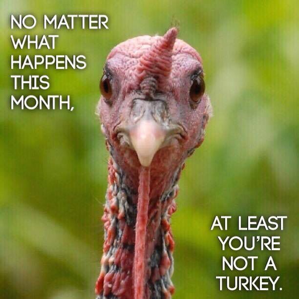 At Least You're Not A Turkey Pictures, Photos, and Images for Facebook ...