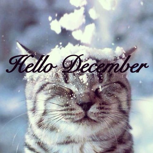Hello December Pictures, Photos, and Images for Facebook, Tumblr ...