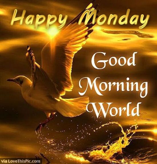 Happy Monday Good Morning World Pictures, Photos, and Images for ...