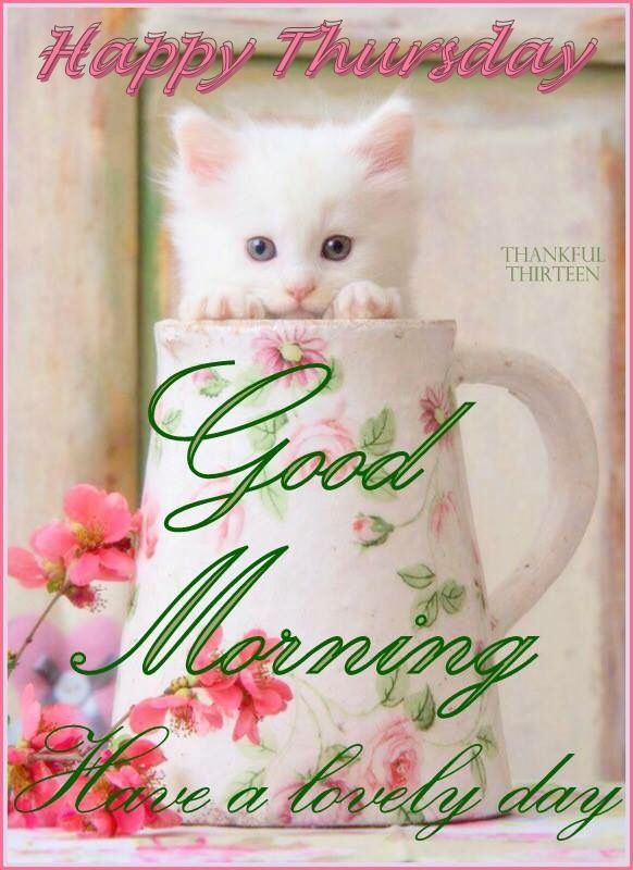 Cute Happy Thursday Good Morning Quote Pictures, Photos, and Images for ...