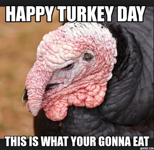 Happy Turkey Day, This Is What You're Gonna Eat Pictures, Photos, and ...