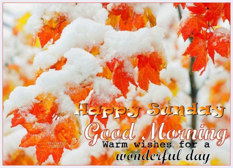 Happy Sunday Warm Wishes For A Beautiful Day Pictures, Photos, and ...