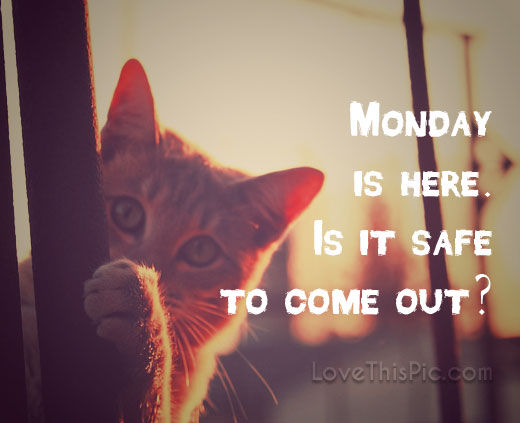 Monday Is Here Pictures, Photos, and Images for Facebook, Tumblr ...