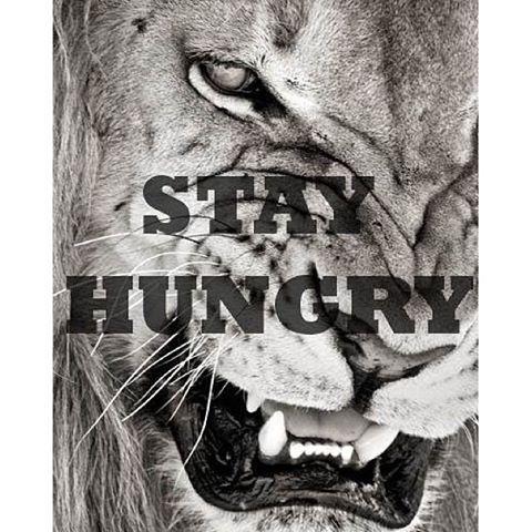 Stay Hungry Pictures, Photos, and Images for Facebook, Tumblr ...