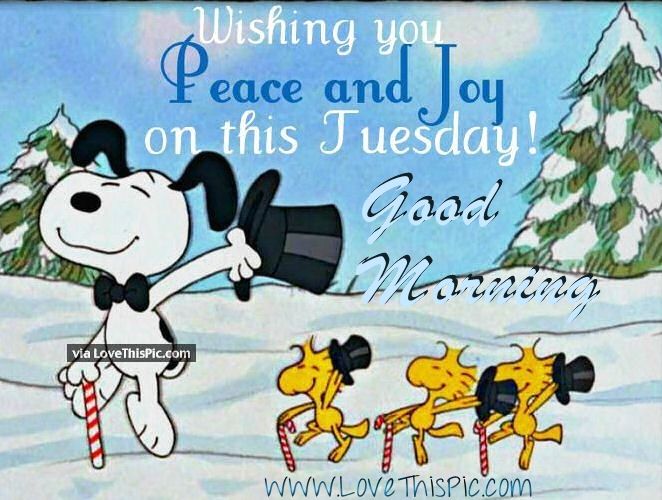 Good Morining Wishing You Peace And Joy On This Tuesday Pictures ...