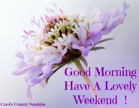 Good Morning Have A Lovely Weekend Quote Pictures, Photos, and Images ...