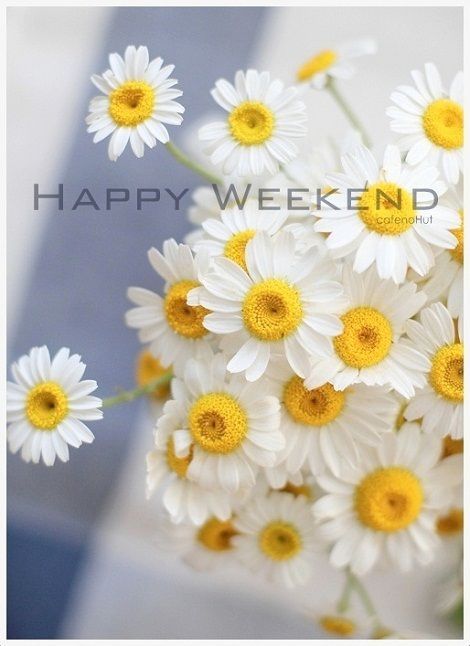 Happy Weekend Quotes Tumblr