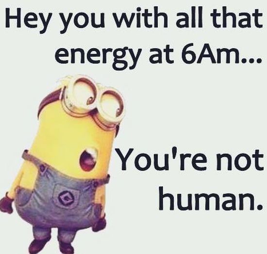 Hey You With All That Morning Energy You Arent Human Pictures, Photos ...