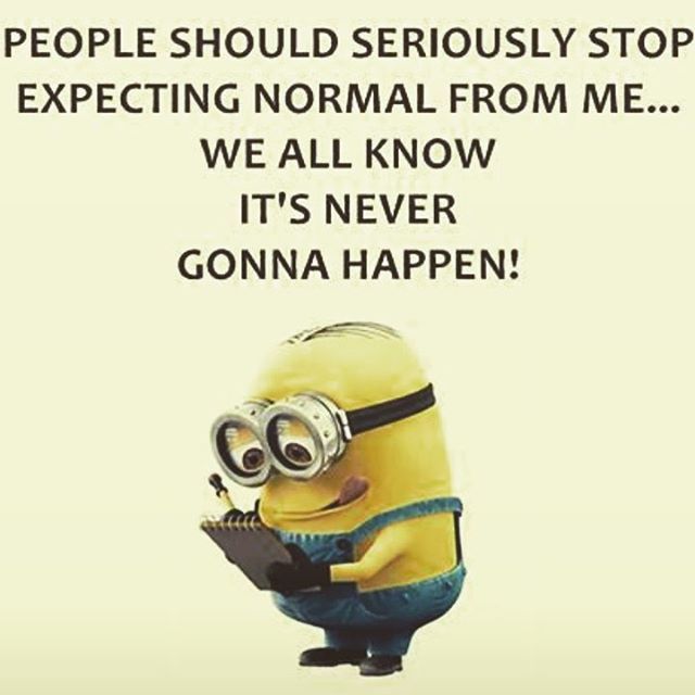 Stop Expecting Normal From Me Pictures, Photos, and Images for Facebook ...