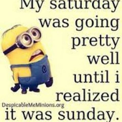 Until I Realized It Was Sunday Pictures, Photos, and Images for ...