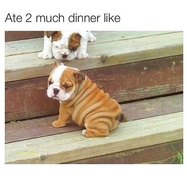 Ate 2 Much Dinner Like Pictures, Photos, and Images for Facebook ...