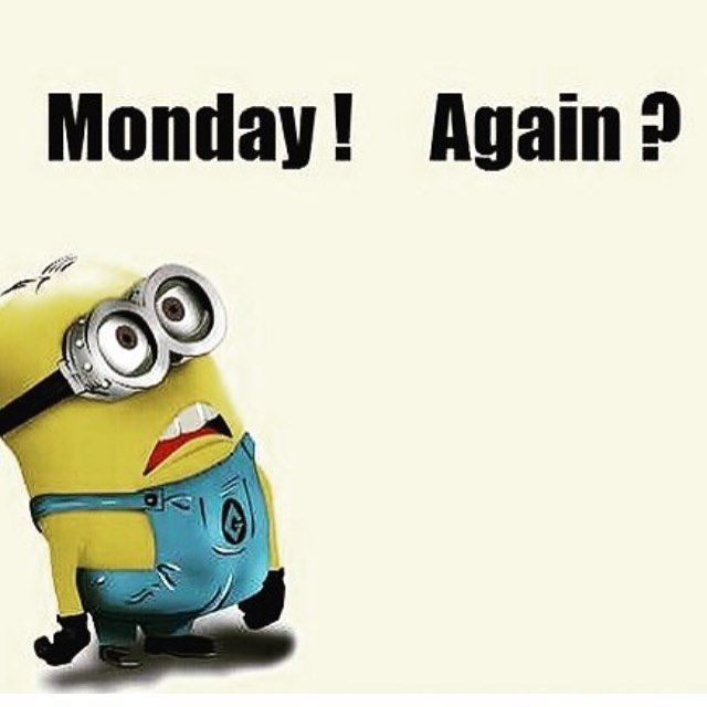 Monday! Again? Pictures, Photos, and Images for Facebook, Tumblr, Pinterest, and Twitter