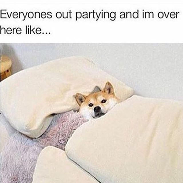 Everyones Out Partying And Im Over Here Like Pictures, Photos, and ...