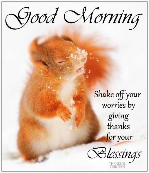 Good Morning Shake Your Worries Off Pictures, Photos, and Images for ...