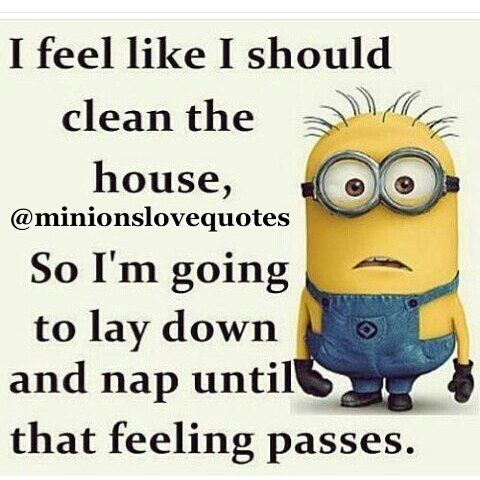 I Feel Like I Should Clean The House Pictures, Photos, and Images for ...