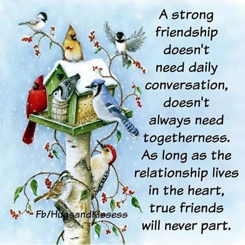 A Strong Friendship Doesnt Need Daily Conversation Pictures, Photos ...