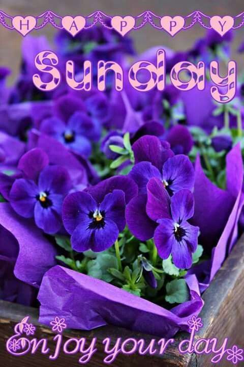 Enjoy Your Sunday