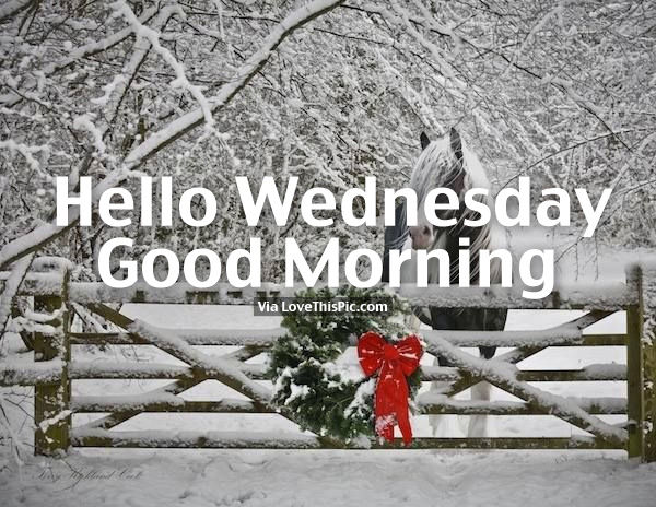 Hello Wednesday, Good Morning Pictures, Photos, and Images for Facebook ...