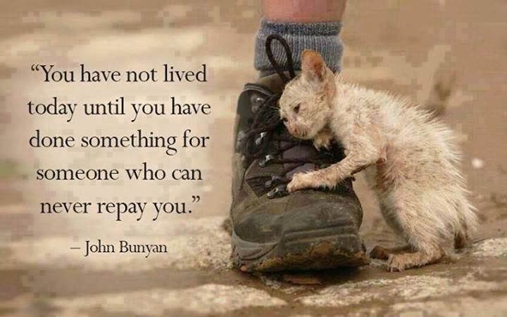 You Have Not Lived Until You Have Done Something For Someone Who Can ...