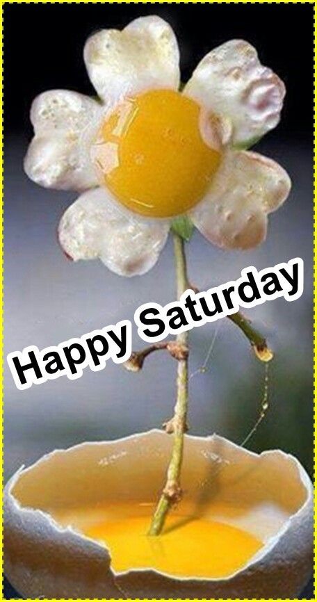 Happy Saturday Pictures, Photos, and Images for Facebook, Tumblr ...