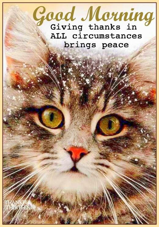 Good Morning Giving Thanks In All Circumstances Pictures, Photos, and ...