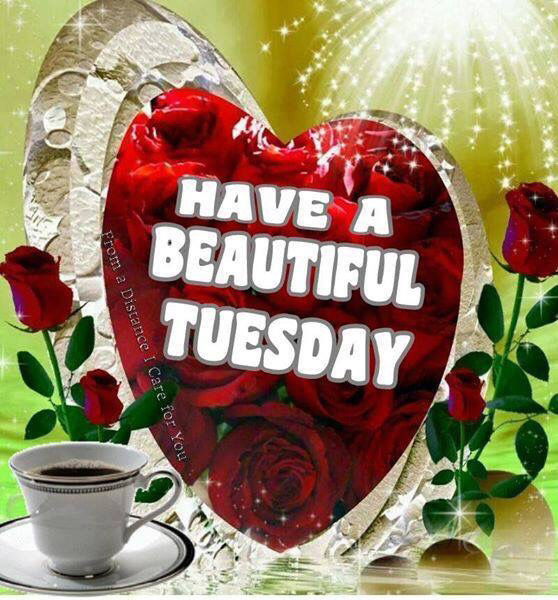 Have A Beautiful Tuesday Pictures, Photos, and Images for Facebook ...