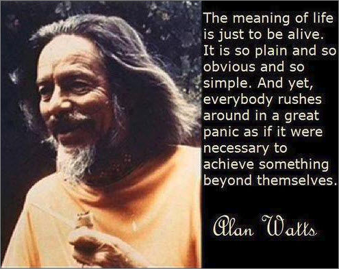 The Meaning Of Life Is To Just Be Alive Pictures, Photos, and Images ...