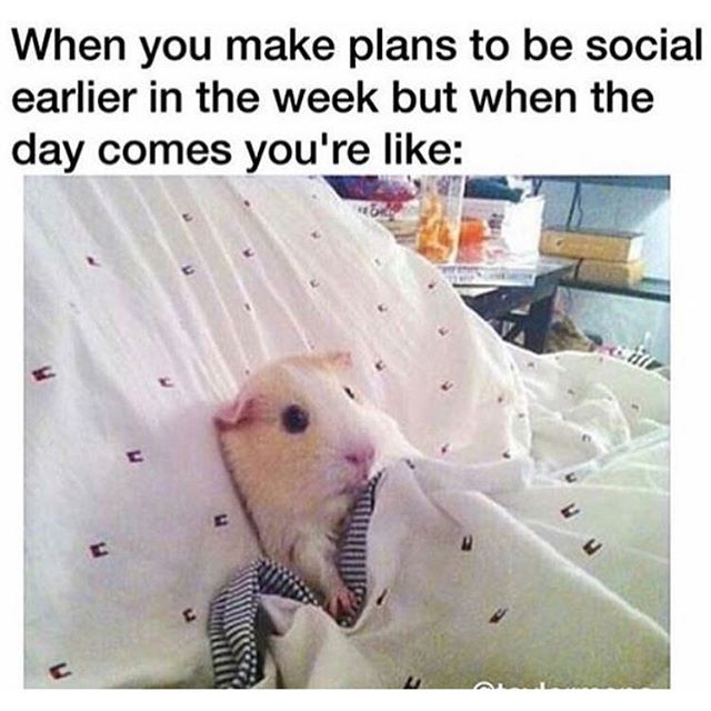 When You Make Plans To Be Social Earlier In The Week Pictures, Photos ...