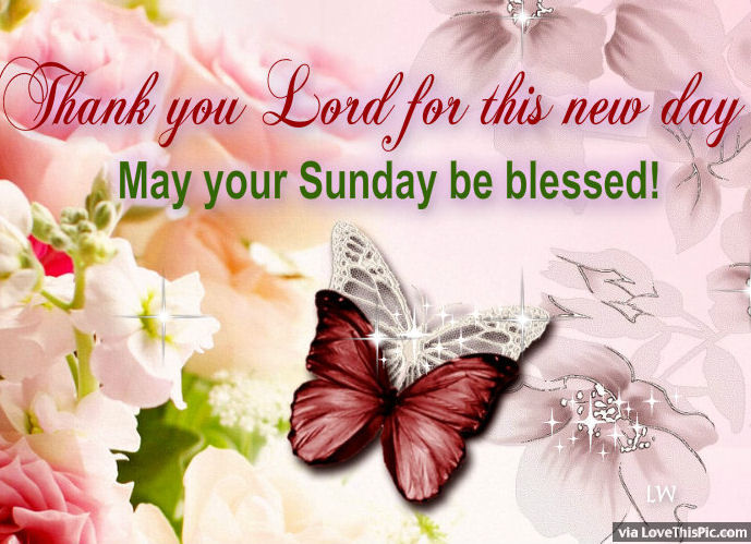 Thank You Lord For This New Day Happy Sunday Pictures, Photos, and ...