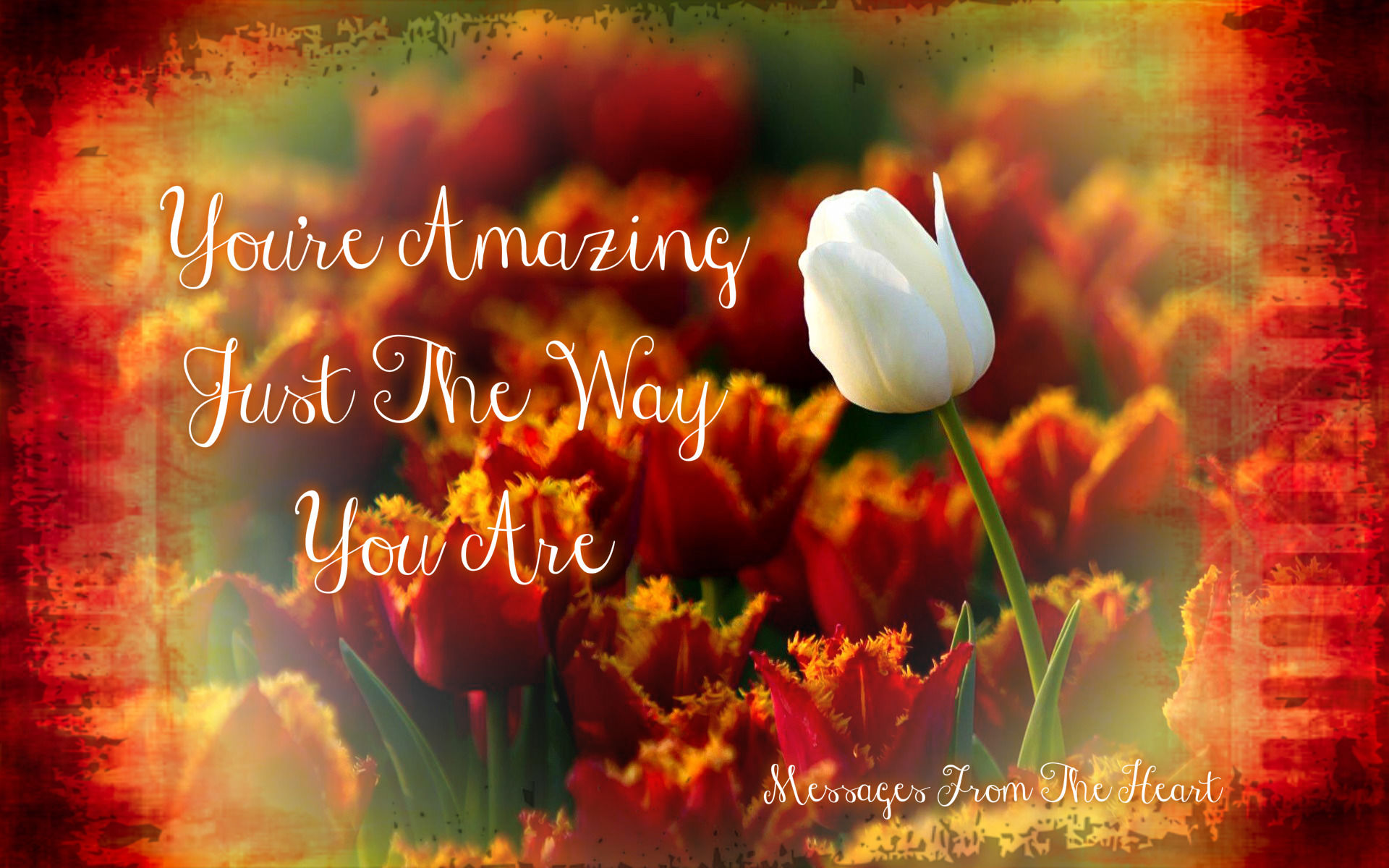 You Are Amazing Pictures, Photos, and Images for Facebook, Tumblr ...