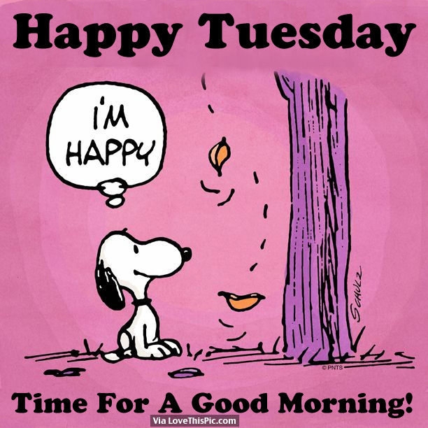 Happy Tuesday, Time For A Good Morning! Pictures, Photos, and Images ...