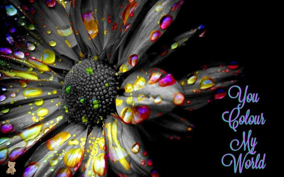 Colour My World Pictures, Photos, and Images for Facebook, Tumblr ...