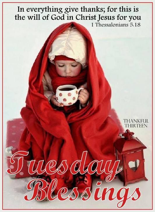 Tuesday Blessings In Everything Give Thanks Pictures, Photos, and ...