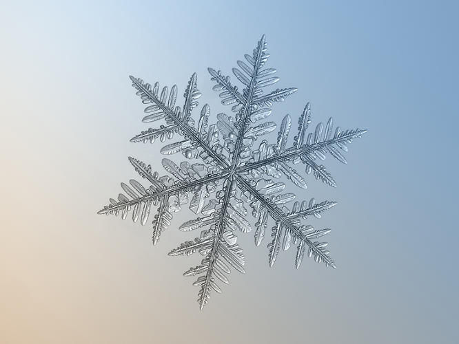 Perfect Snowflake