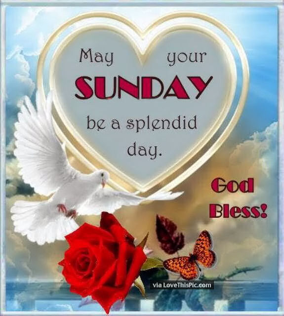 May Your Sunday Be Splendid Pictures, Photos, and Images for Facebook ...